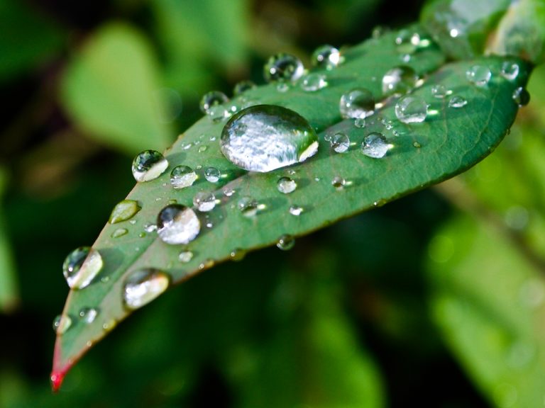 Matt Halvorson PhotographyThe Offering